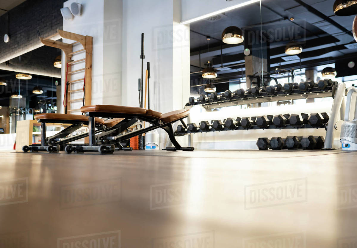 Leather benches and rack with various dumbbells located inside ...