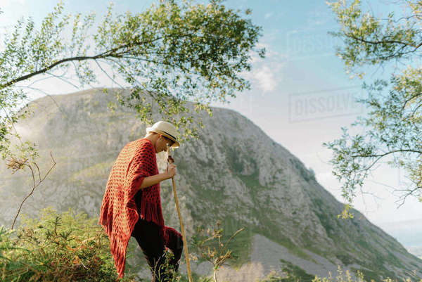 Side view of wanderer with wooden staff enjoying sunrise in morning and ...