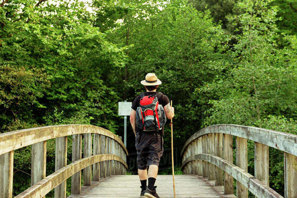 Back view of unrecognizable male wanderer with backpack and wooden ...