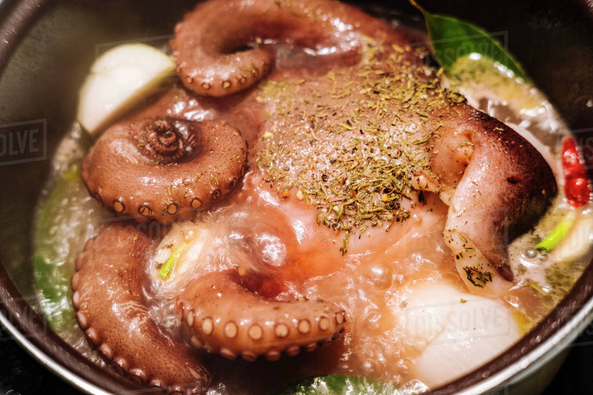 Octopus Stew - Royalty-free Stock Photo | Dissolve