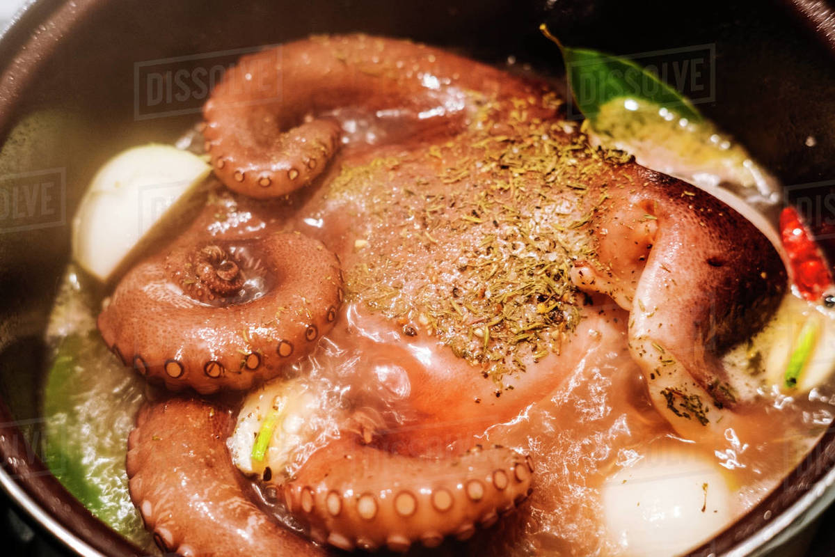 Octopus Stew - Royalty-free Stock Photo | Dissolve