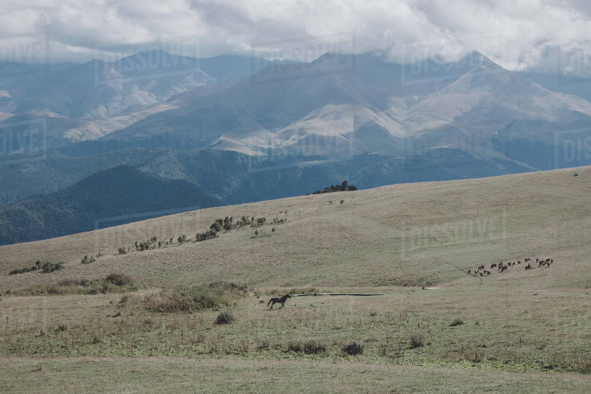 Panorama view of mountains and valley scenes in national park Dombay ...