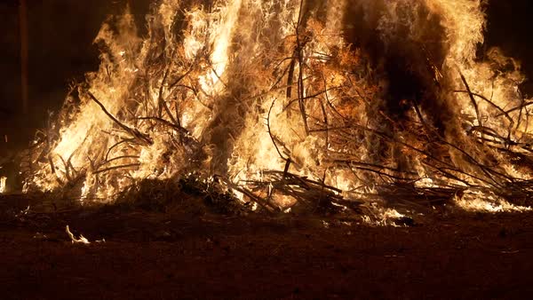 Close up of flaming trees during a forest fire at night in slow motion ...
