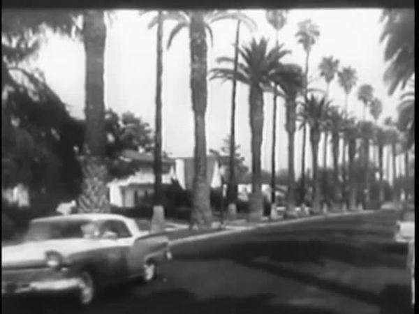 1950s cars moving along tree-lined road and highway - SD Royalty-free ...
