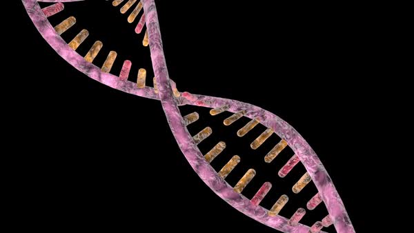 Animated DNA chain model. 3D rendering - HD Royalty-free Stock Video ...