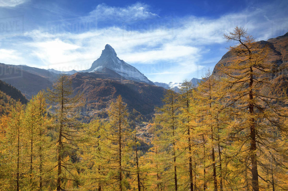 Autumn trees by Matterhorn in Switzerland, Europe - Royalty-free Stock ...