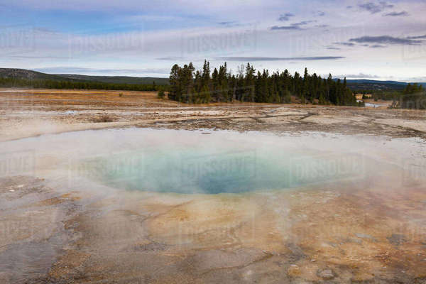 Yellowstone National Park, UNESCO World Heritage Site, Wyoming, United ...