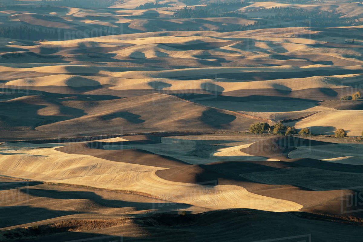 Farmland in the Palouse, Palouse, Washington State, United States of ...