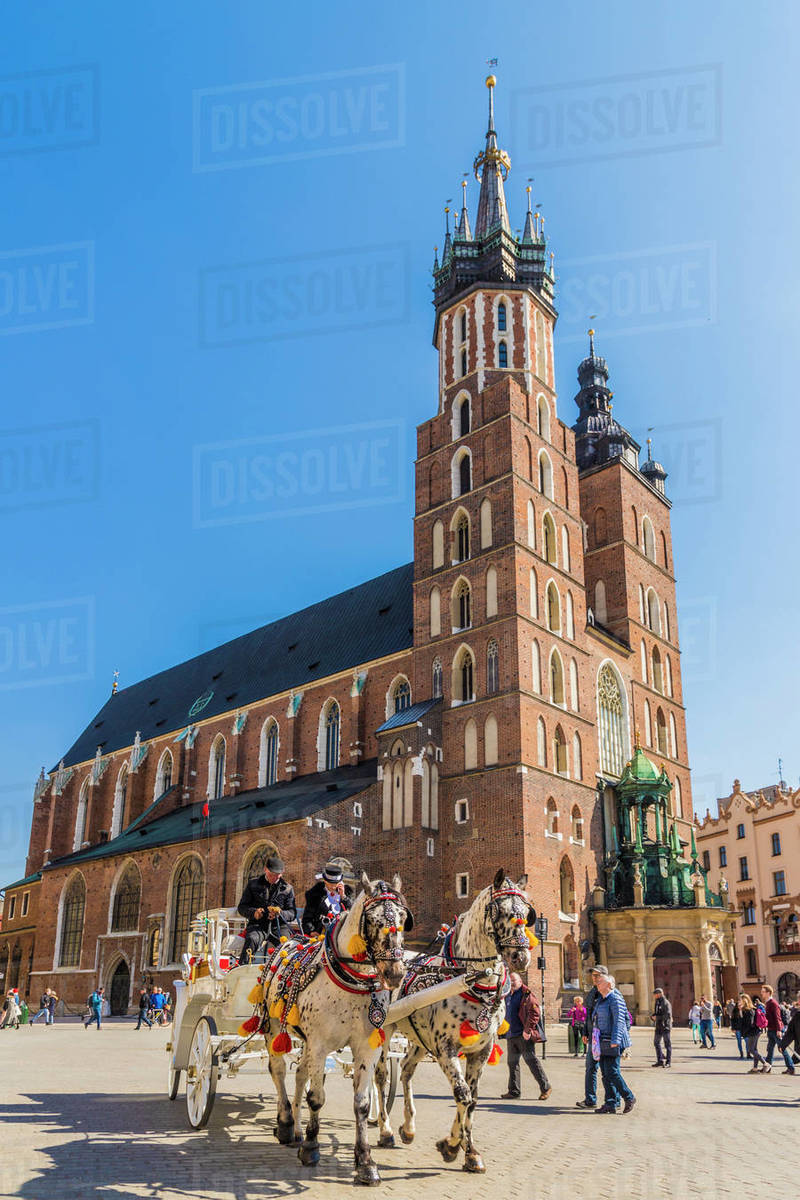 St. Mary's Basilica in the main square in the medieval old town of ...