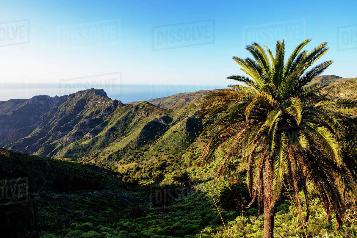 Garajonay National Park, UNESCO World Heritage Site, La Gomera, Canary ...