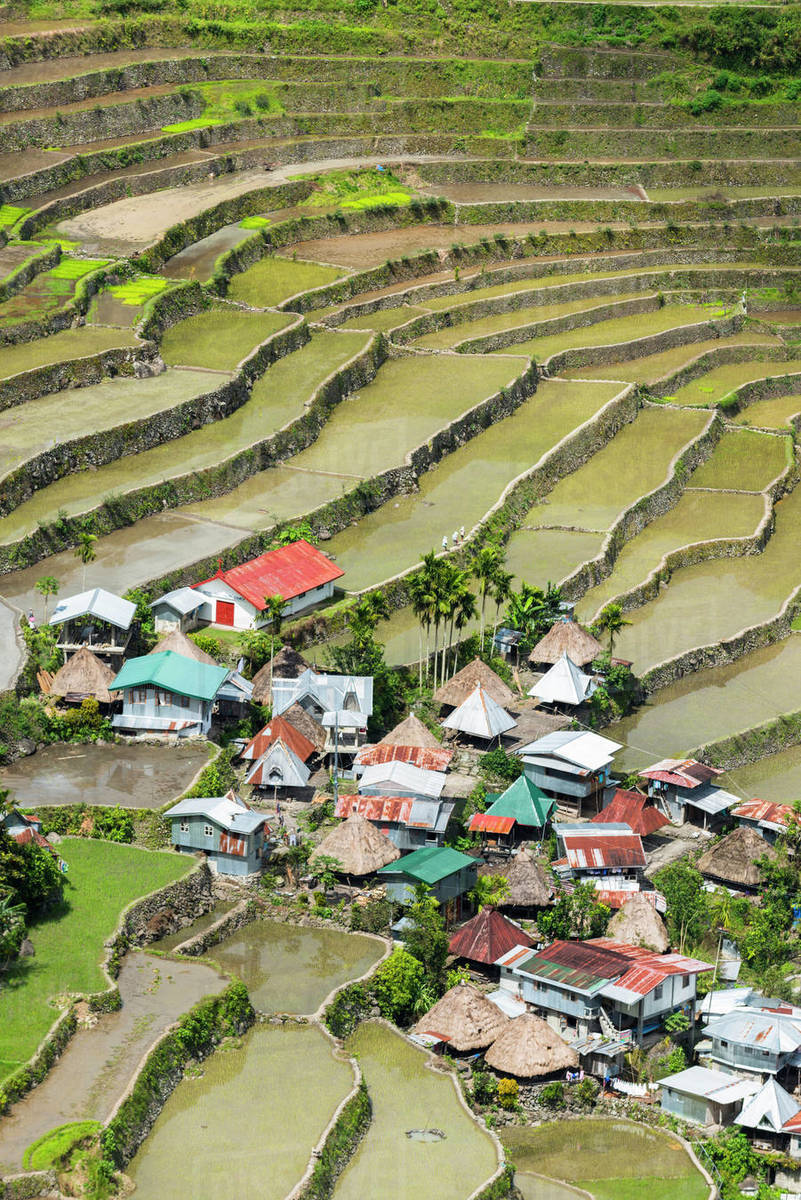 Batad, UNESCO World Heritage Site, Luzon, Philippines, Southeast Asia ...