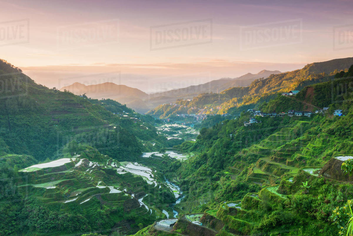 Rice Terraces, Banaue, UNESCO World Heritage Site, Luzon, Philippines ...