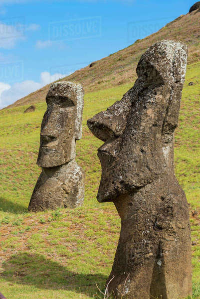 Moai heads of Easter Island, Rapa Nui National Park, UNESCO World ...