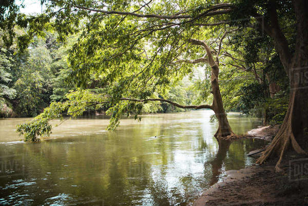 Sunlight on the lake at Udawalawe National Park, Sri Lanka, Asia ...
