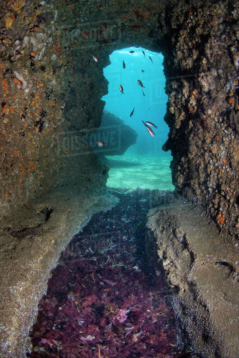 Roman hallway, submerged ancient Roman ruins, Dragonara caves, Miseno ...