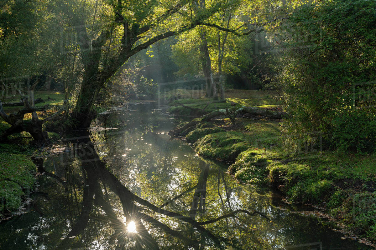Early morning sunshine reflects in the Beaulieu River, New Forest ...
