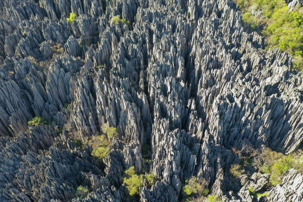 The karst limestone formation at Parc National des Tsingy de Bemaraha ...