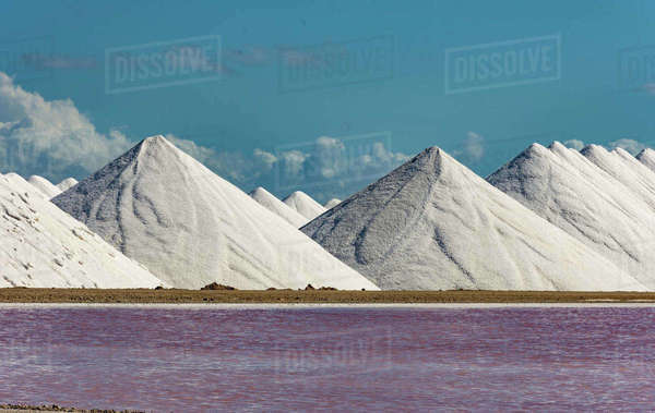 Stacks of salt beside large salt pans, Bonaire, ABC Islands, Dutch ...
