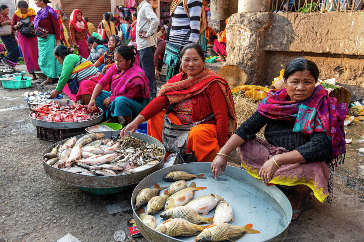 Colourfully dressed women vendors selling fish, Ima Keithel women's ...