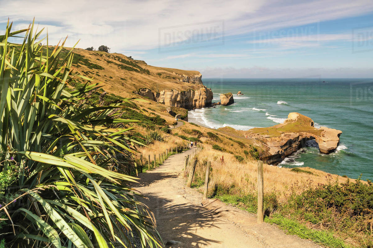 Hiking path to Tunnel Beach, Dunedin, Otago, South Island, New Zealand ...