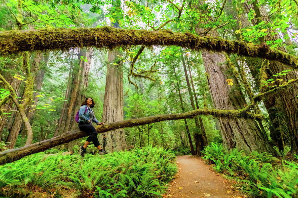 Woman exploring Mount Shasta Forest, California, United States of ...