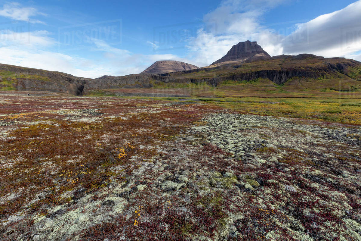 Open tundra and columnar basalt in Brededal, Disko Island, Qeqertarsuaq ...