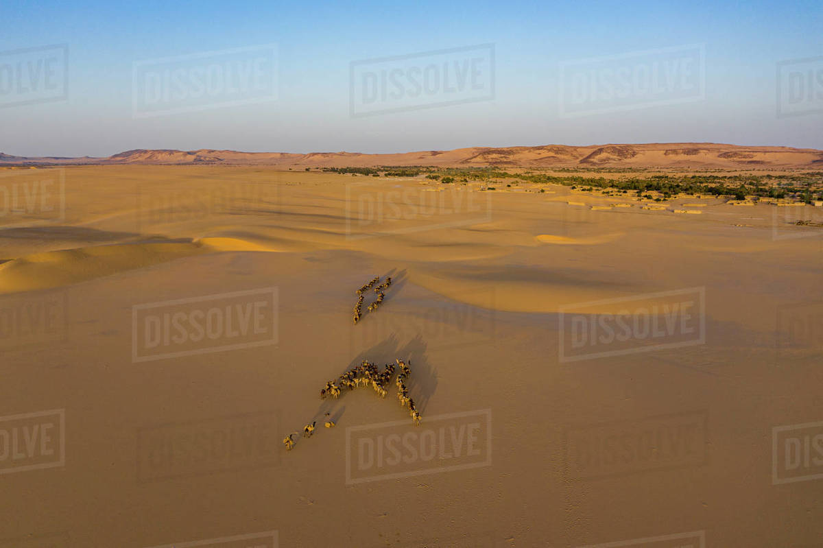Oasis Fachi, Tenere desert, Niger, West Africa, Africa - Royalty-free ...