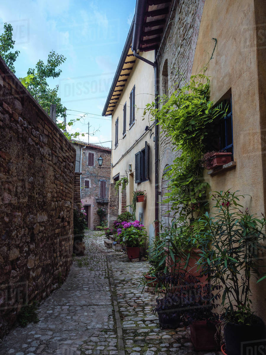 A typical street in Montefalco's old town, Montefalco, Umbria, Italy ...