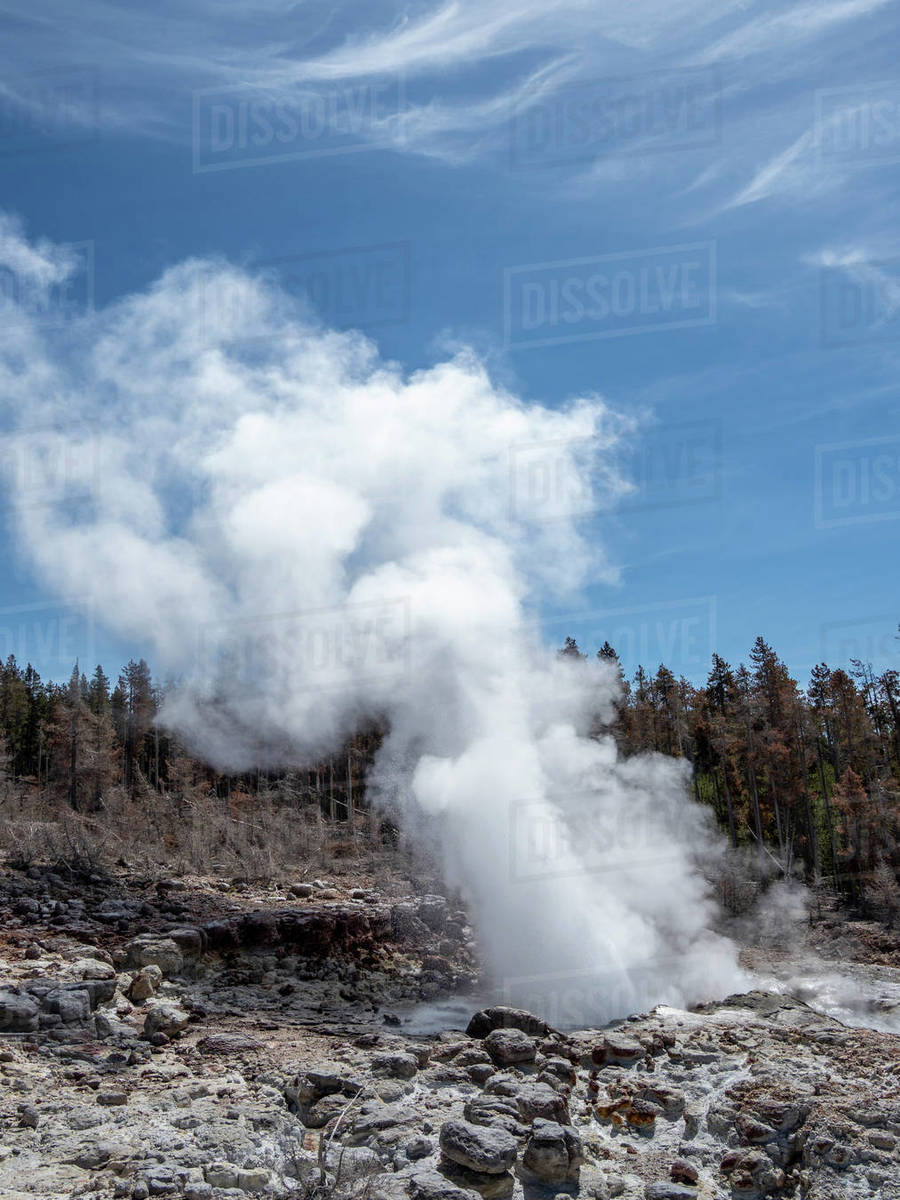 Steamboat Geyser, the worlds tallest active geyser, steaming in ...