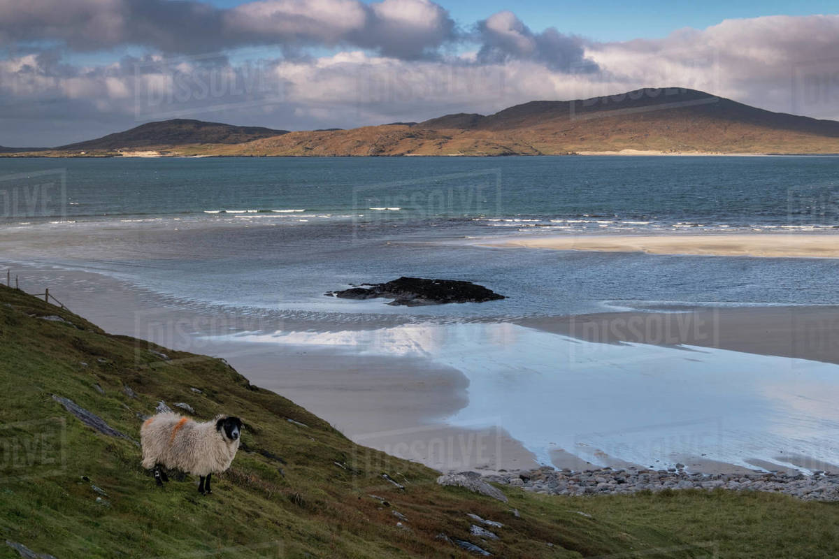 The Island of Taransay viewed across Seilebost Beach, Isle of Harris ...