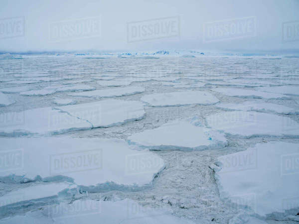Stormy weather over pack ice and icebergs near Adelaide Island ...