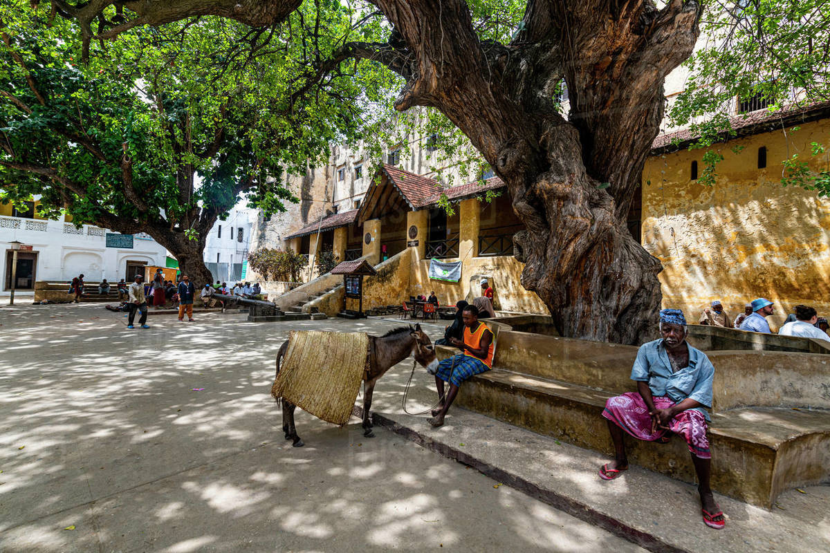 Town square in front of Lamu Fort, UNESCO World Heritage Site, island ...