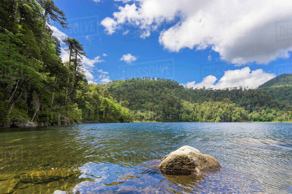 El Toro Lake, Huerquehue National Park, Pucon, Chile, South America ...