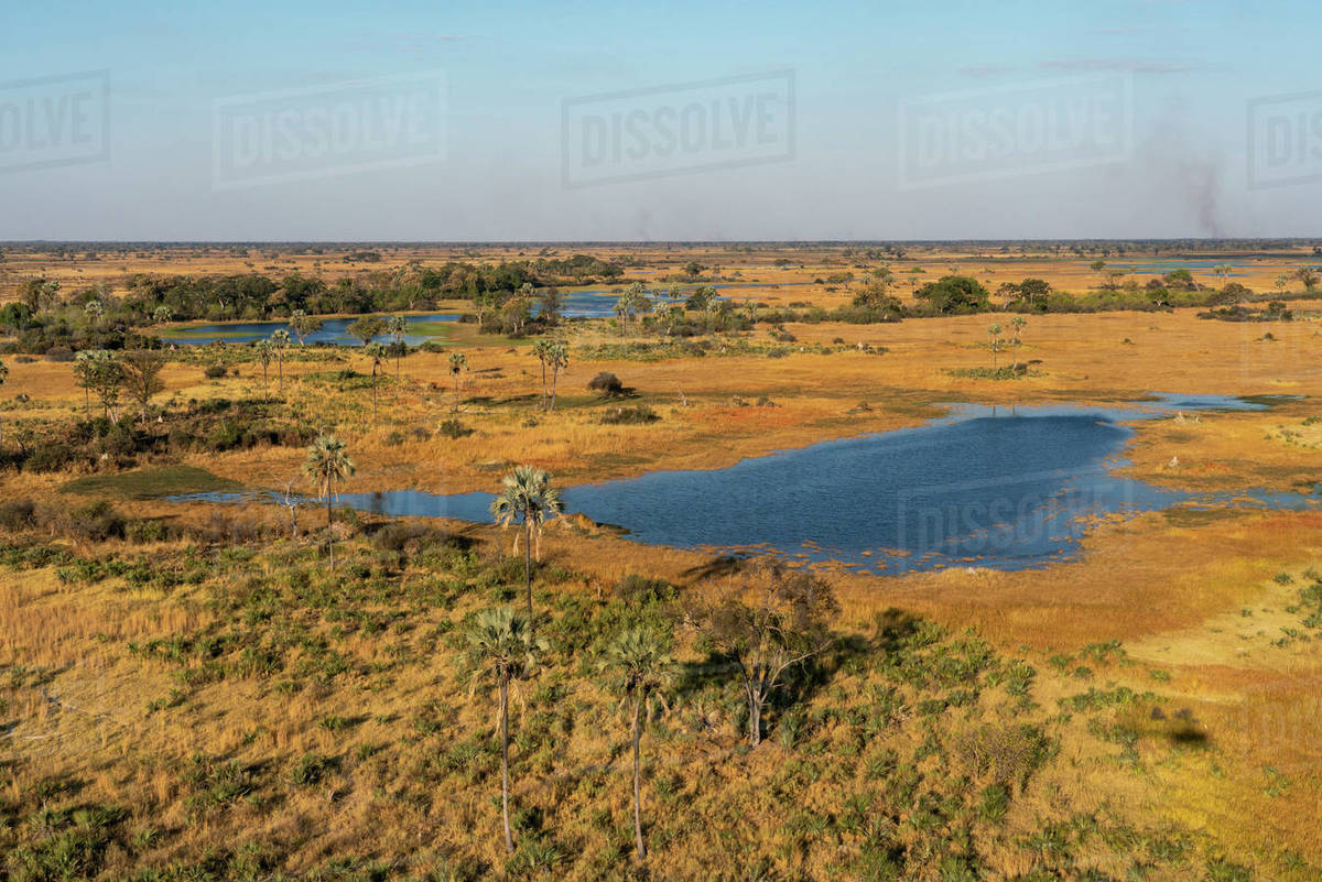 Aerial view of the Okavango Delta, UNESCO World Heritage Site, Botswana ...