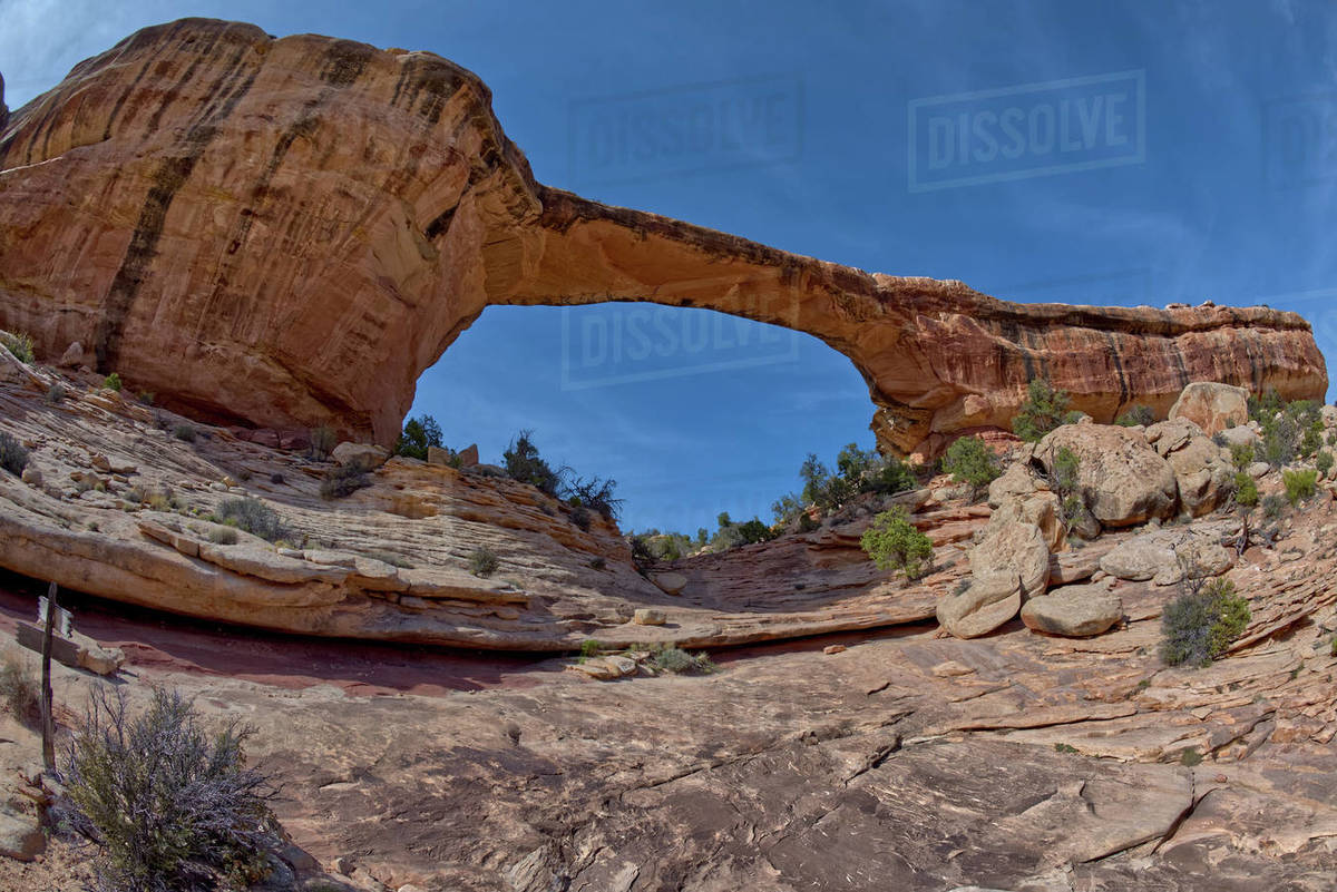 The Owachomo Bridge (Rock Mound in Hopi), Natural Bridges National ...