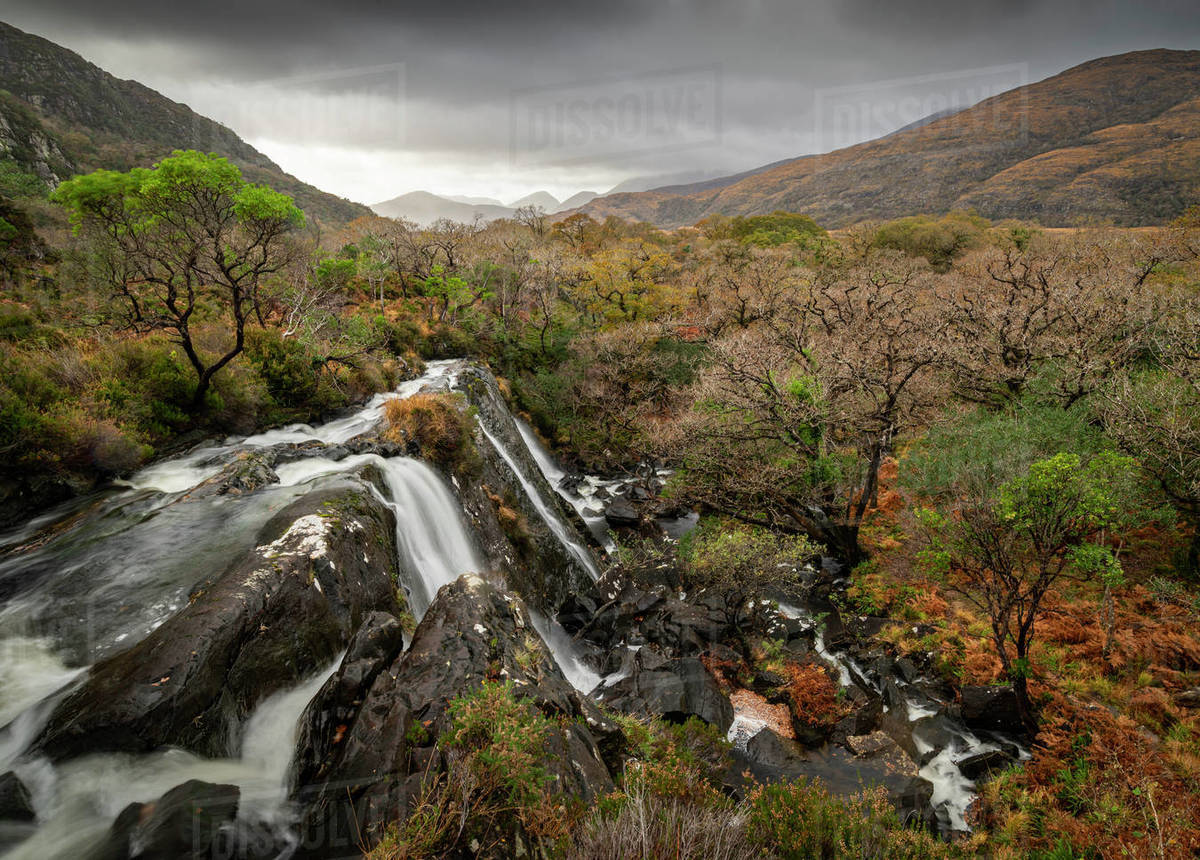 Waterfall and forest, Killarney National Park, County Kerry, Munster ...