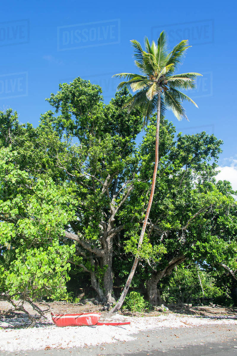 Epi Island, Shepherd Islands, Vanuatu, Pacific - Royalty-free Stock ...