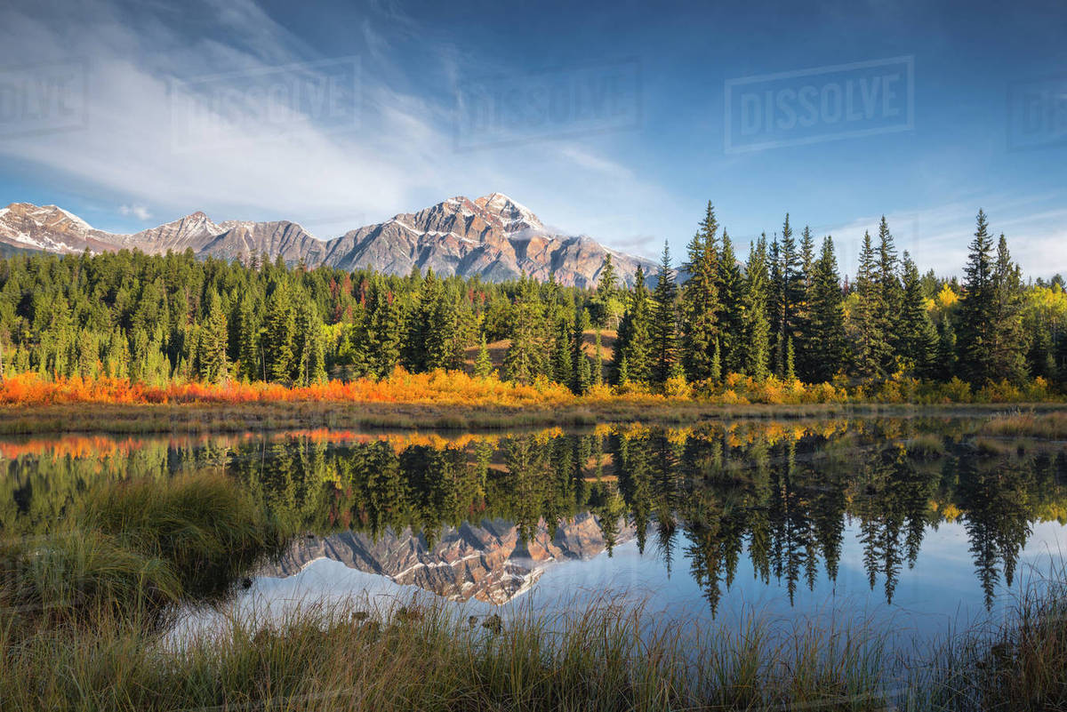 Pyramid Mountain reflected in a lake with autumn colour, Jasper ...