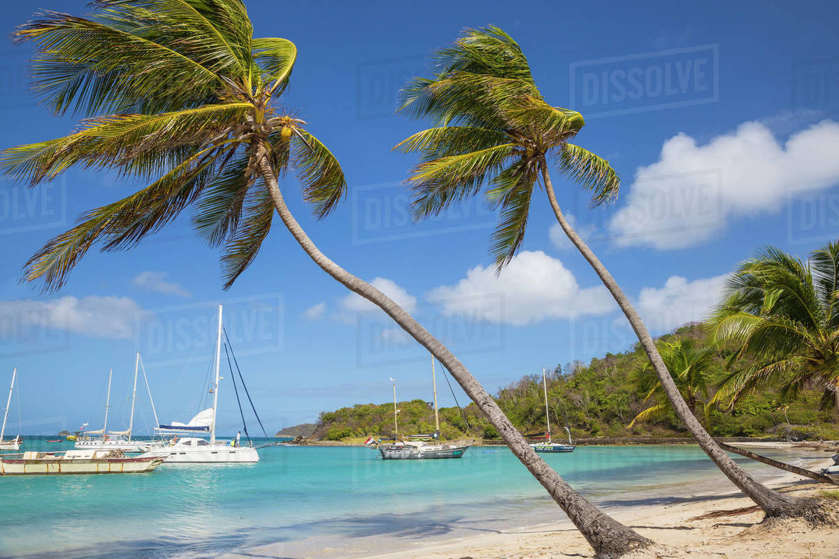 Saltwhistle Bay, Mayreau, The Grenadines, St. Vincent and The ...
