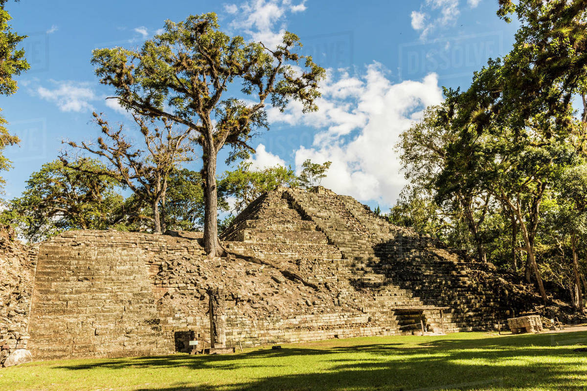 The Great Plaza, part of the Copan Ruins, a Mayan archaeological site ...