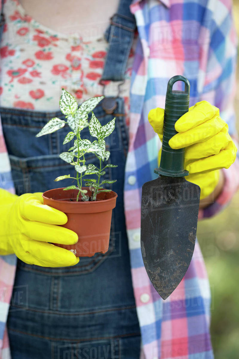 girl planting flowers in the garden. flower pots and plants for ...