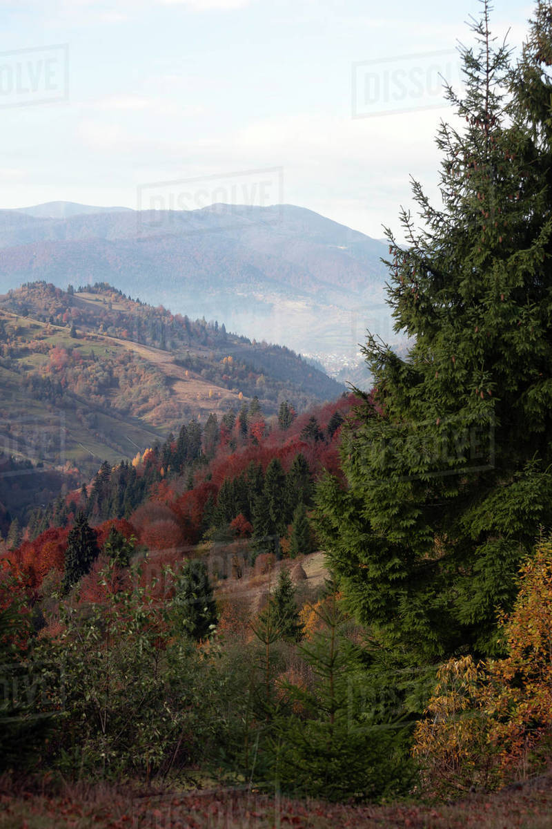 Ukraine ,beautiful autumn mountains landscape. Carpathians - Royalty ...