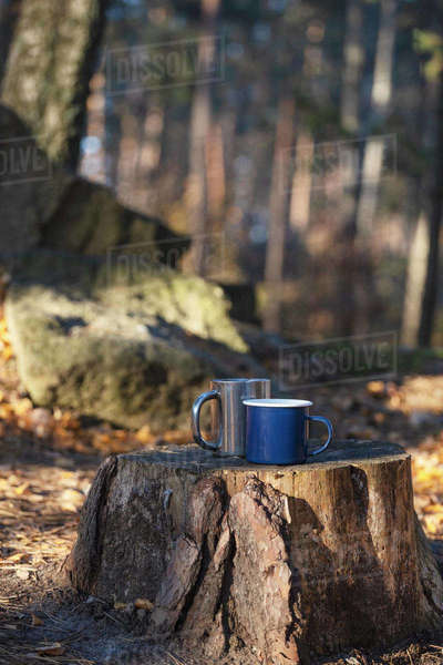 A camping aesthetics. cups with tea on a stump in the dawn light ...
