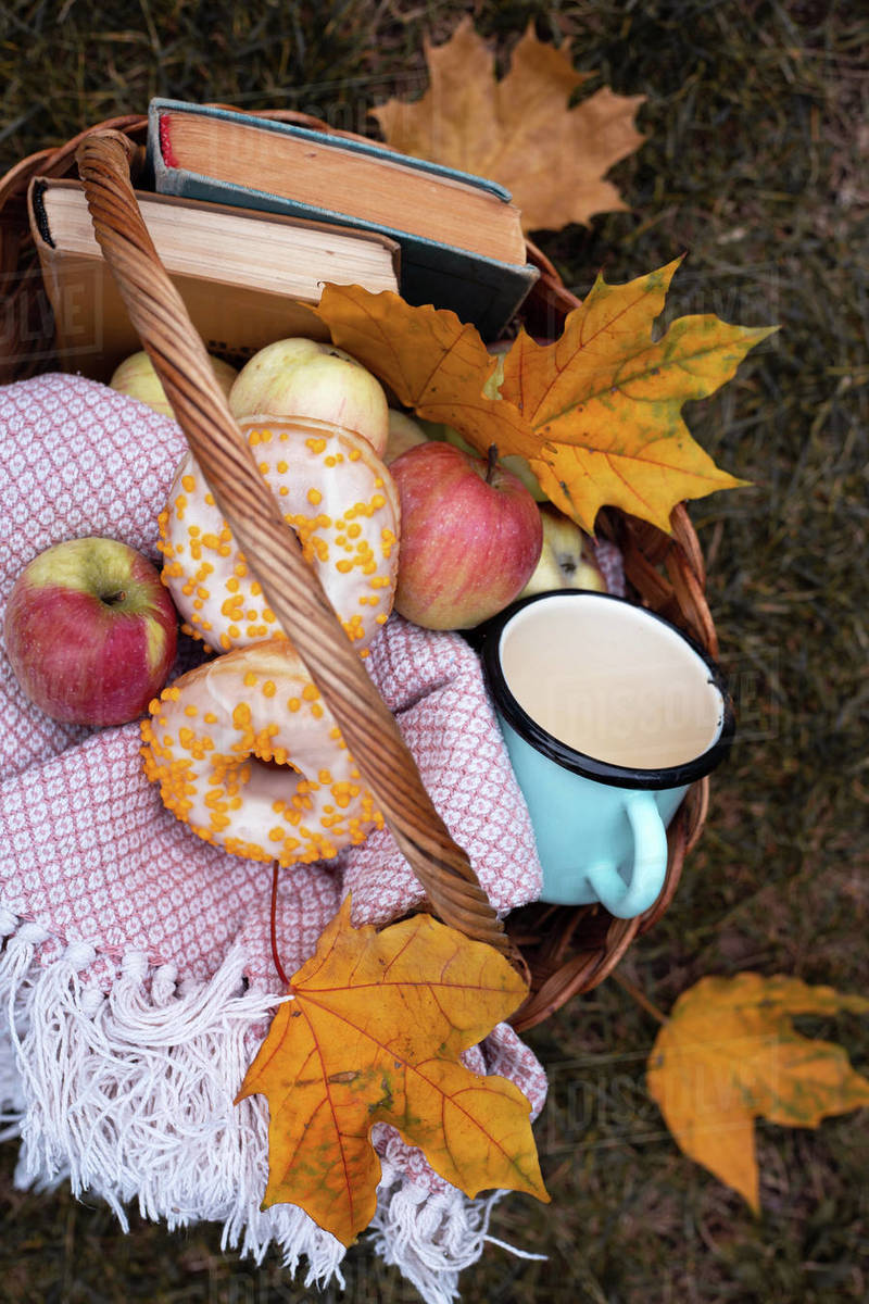 a picnic basket. basket with plaid, apple, donuts, book. urban autumn ...