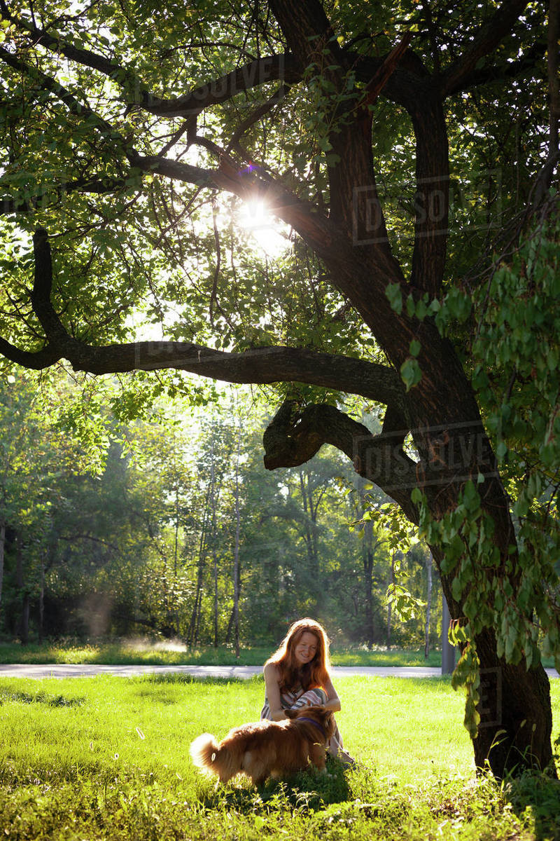 Beautiful corgi dog and girl in the park - Stock Photo - Dissolve