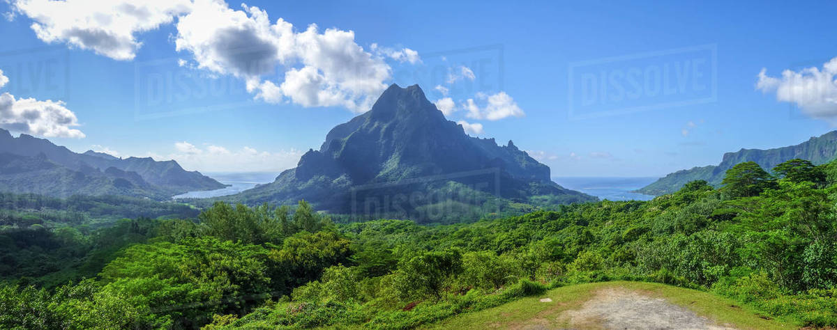 Bay; moorea; opunohu; cook; island; tahiti; polynesia; pacific ocean ...