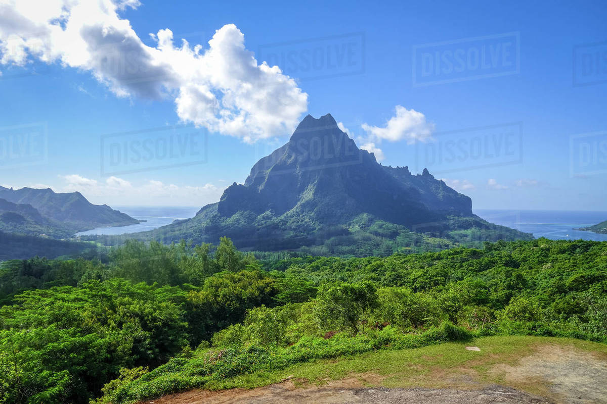 Bay; moorea; opunohu; cook; island; tahiti; polynesia; pacific ocean ...