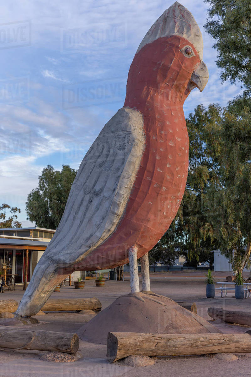 KIMBA, AUSTRALIA : a sunset side view of the big galah tourist ...