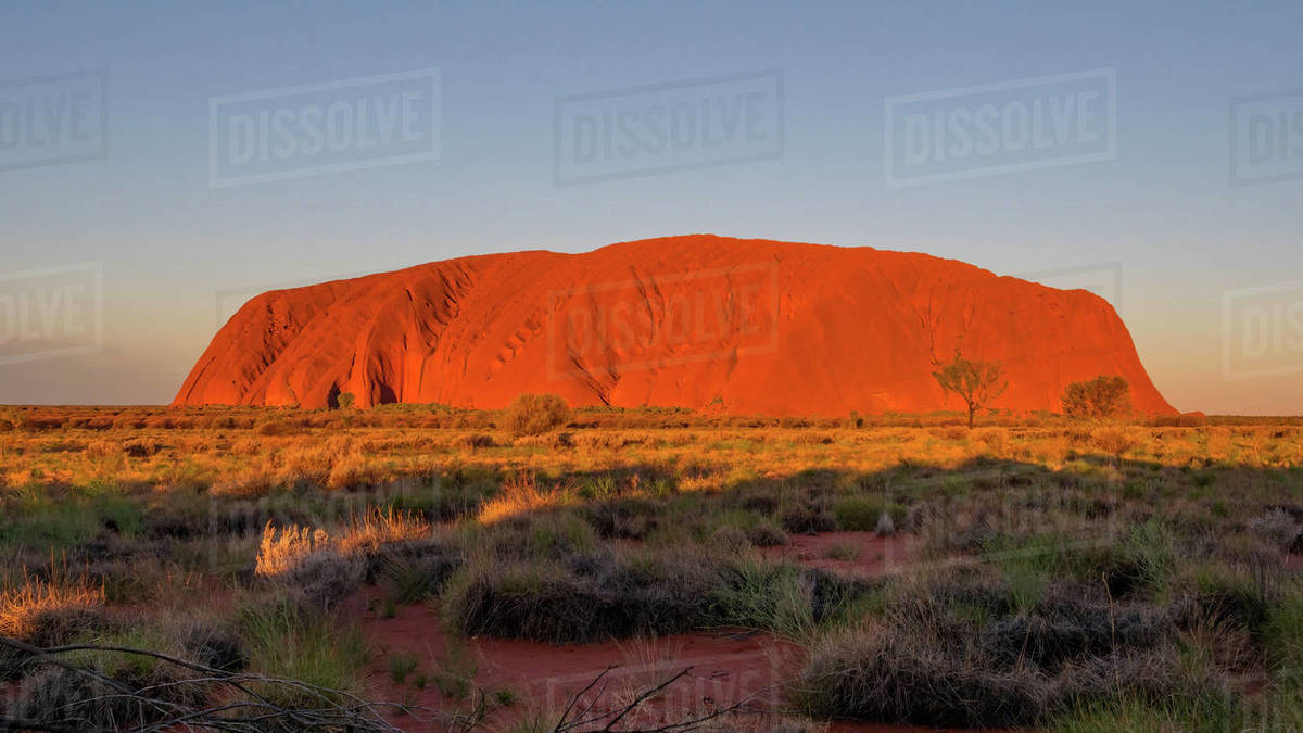 YULARA, AUSTRALIA - a close sunset view of uluru in uluru-kata tjuta ...