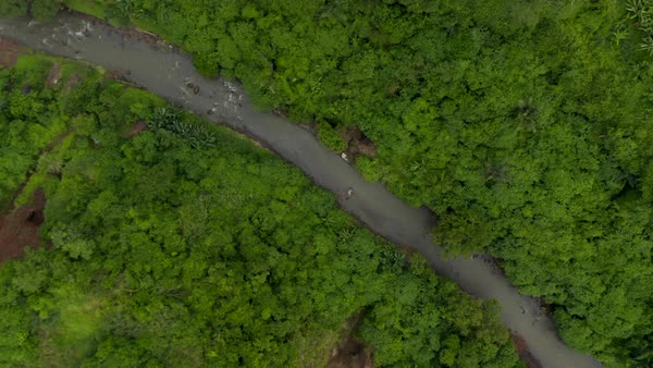 Rotating top down overhead aerial birds eye view of a jungle river ...